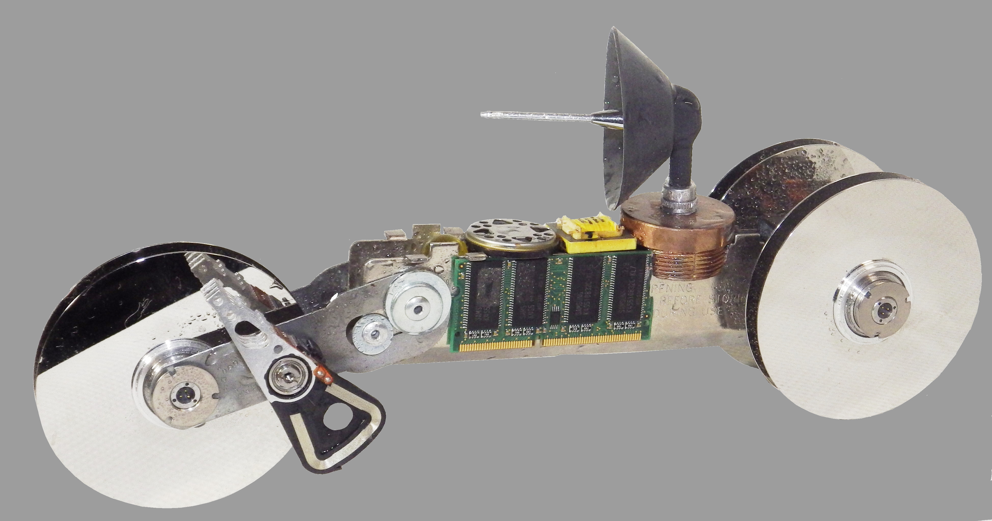 Things With Wheels – Shouter to Dead Parrots