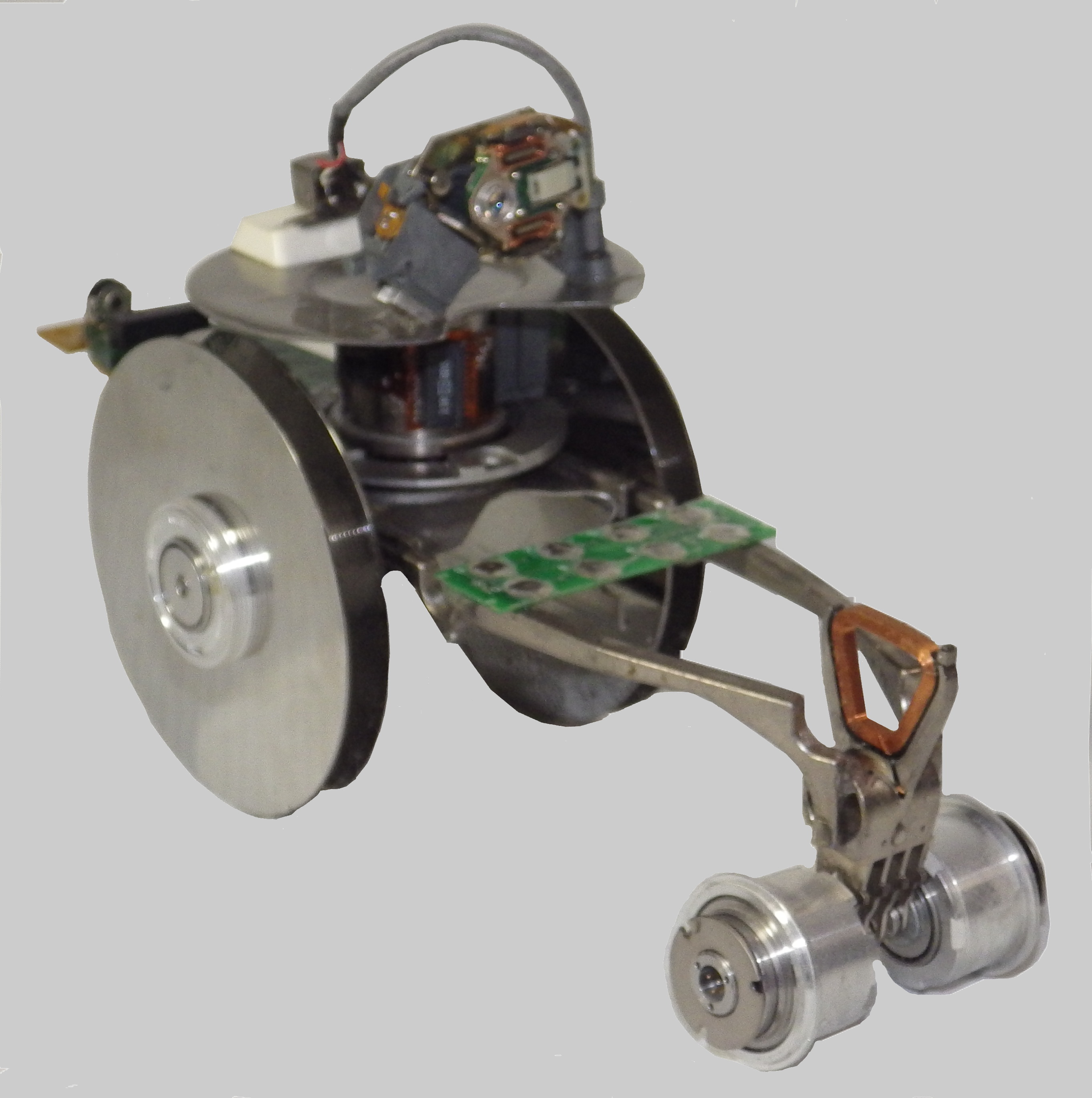 Things With Wheels – Shouter to Dead Parrots